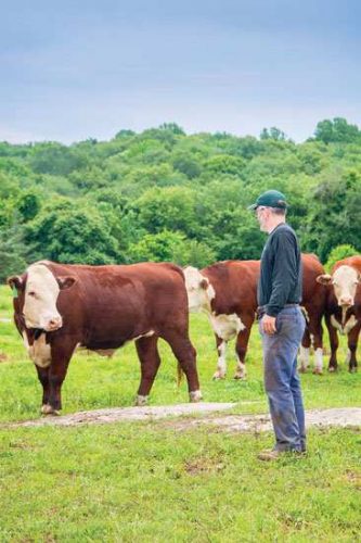 Raising Beef Cattle for Profit on a Small Farm - Grit